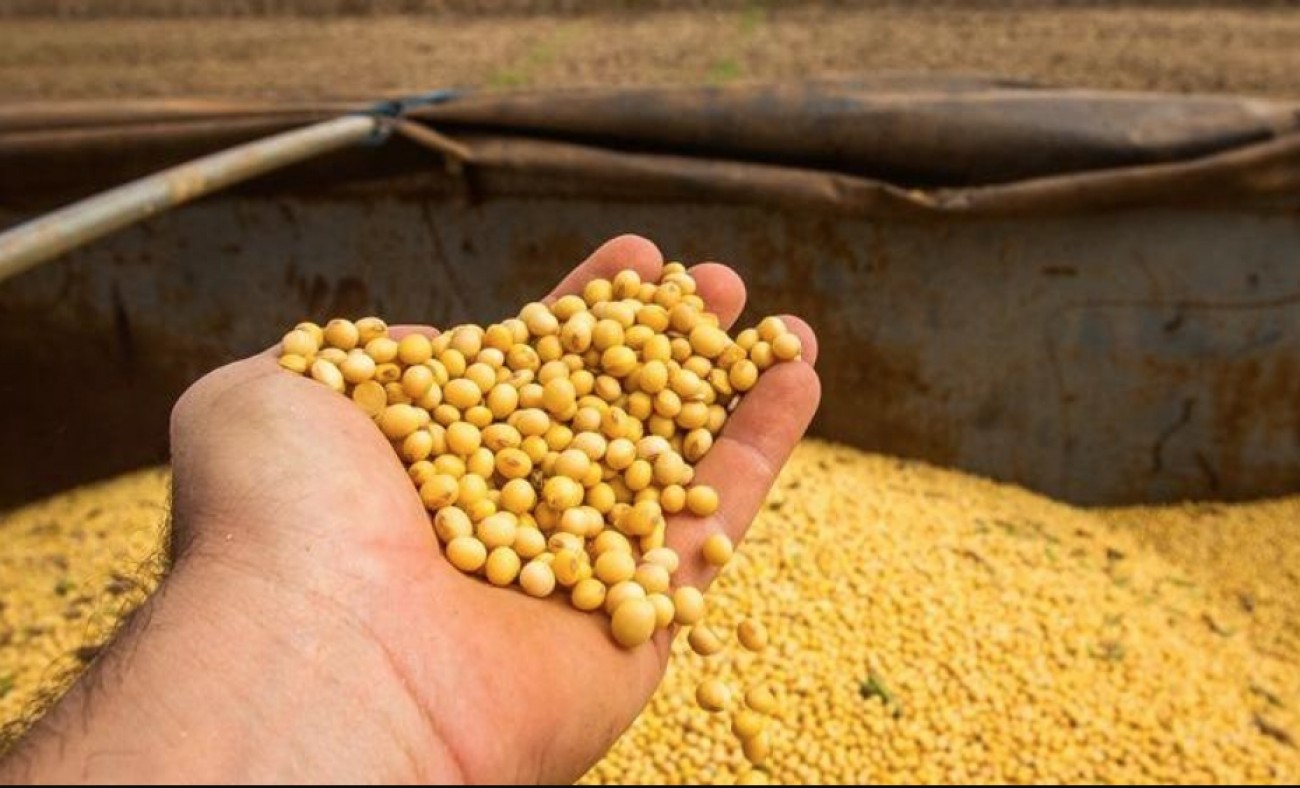Mercado de soja entra em ritmo de final de ano