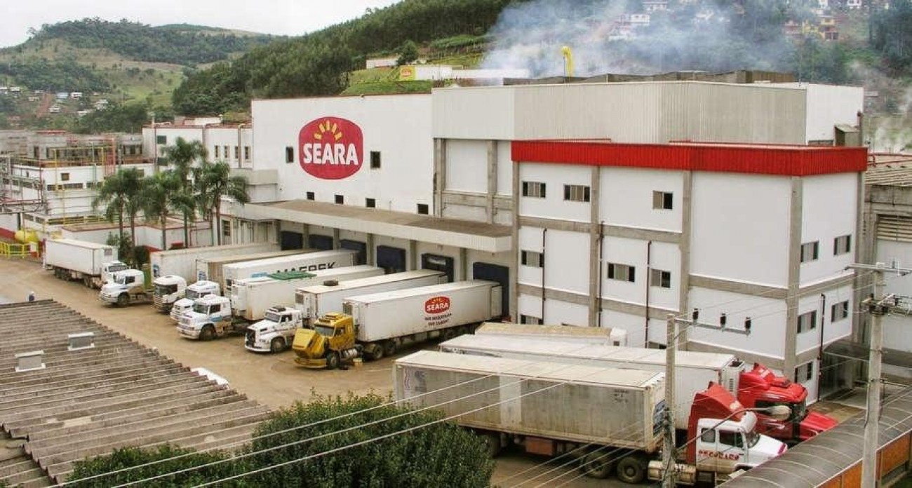 Seara muda identidade visual, ícone, logo e embalagem