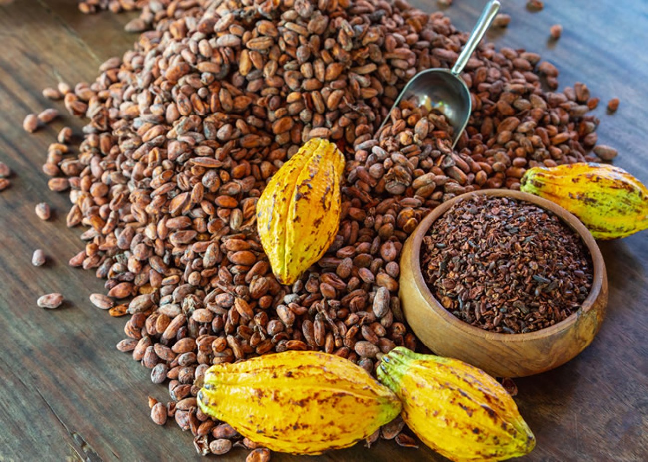 Brasileiro e premiado: conheça a trajetória do cacau