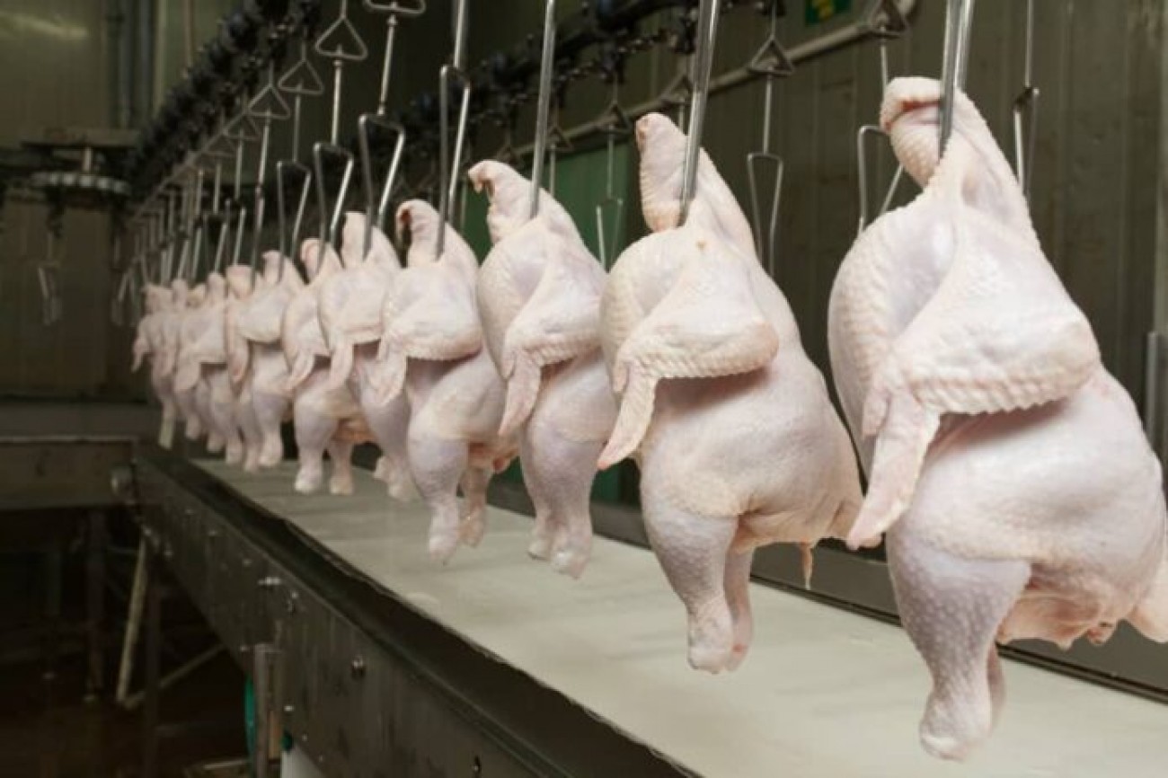 Poder de competitividade do frango varia diante das demais proteínas