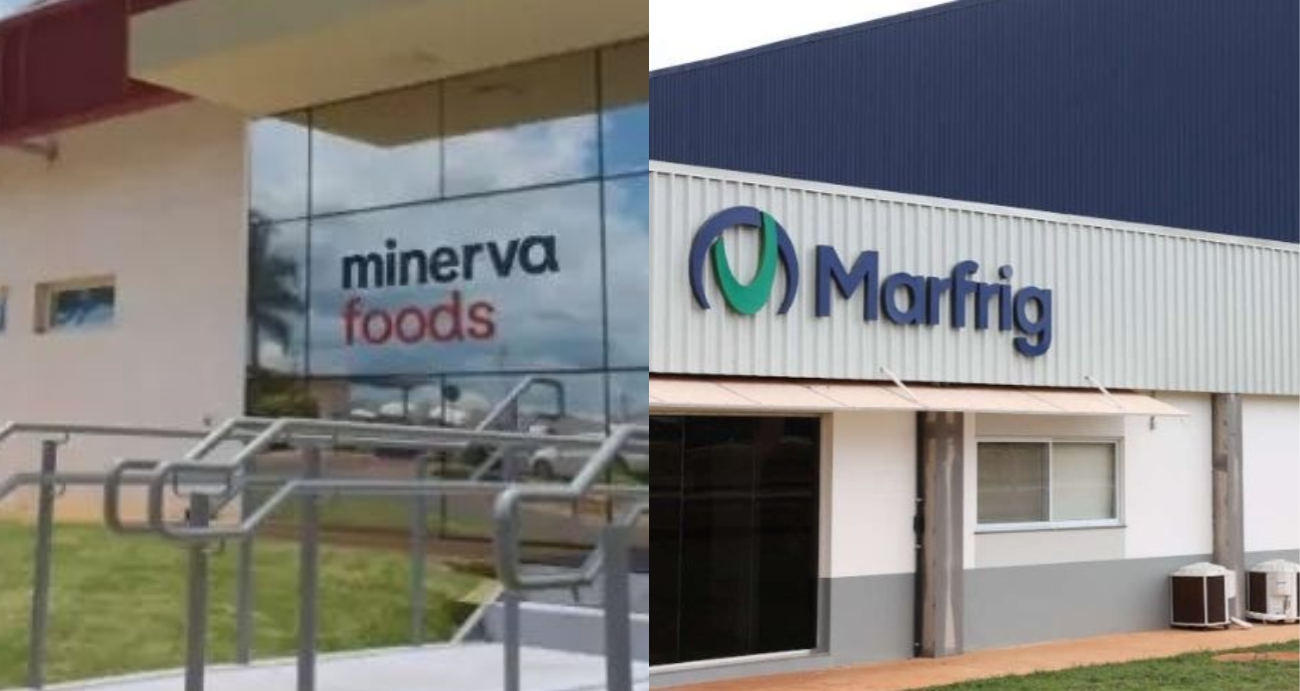 Finalização de aquisição da Marfrig pela Minerva Foods deve ocorrer nos ...
