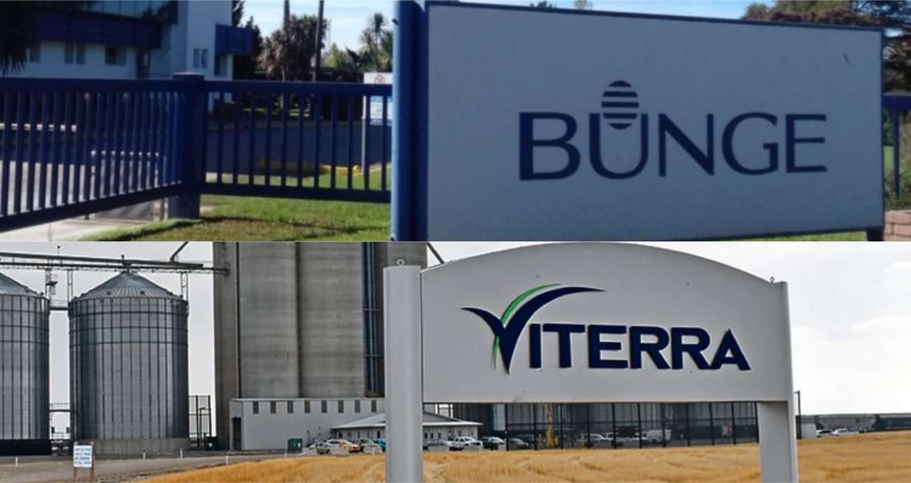 Bunge e Viterra se unem para criar empresa global e fusão preocupa ...