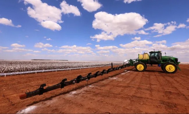 Mato Grosso da início a semeadura do algodão Mato Grosso da início a semeadura do algodão